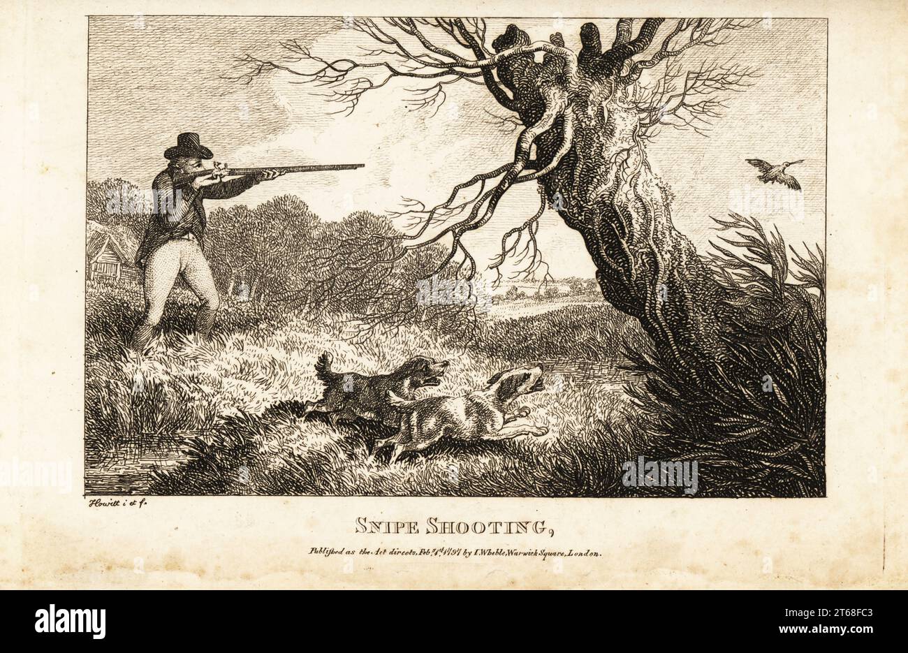 Huntsman with musket and spaniels hunting for snipe near a river. Snipe ...