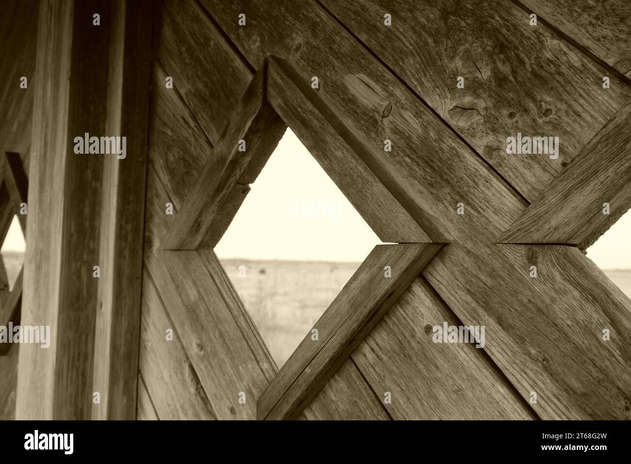 Special point of view hi-res stock photography and images - Alamy