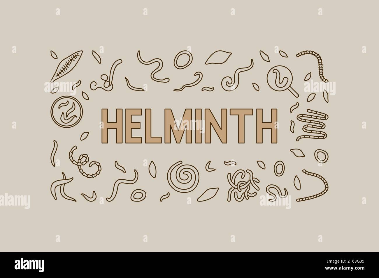 Helminth vector concept horizontal banner - Illustration with Nematode ...