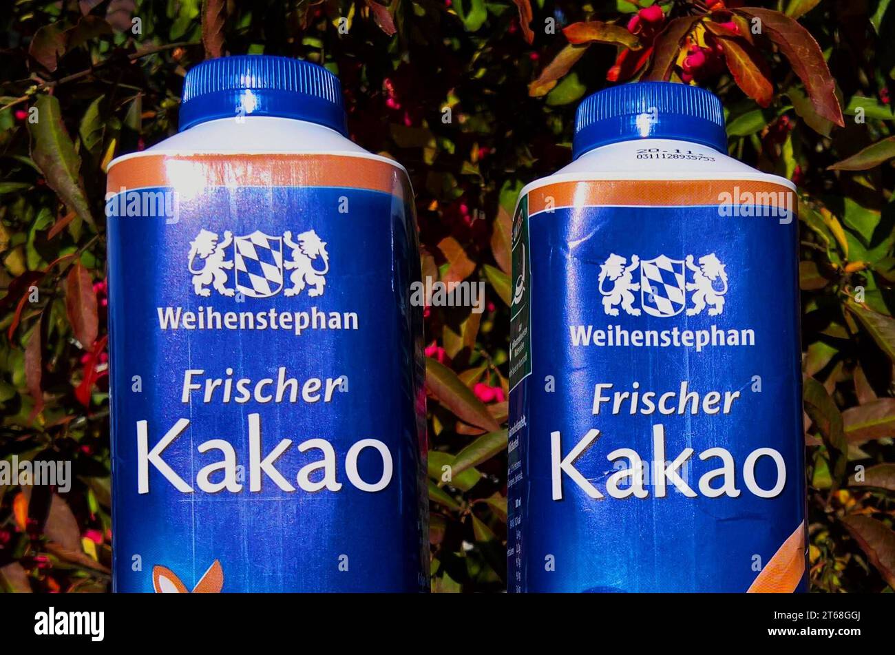 Weihenstephan Molkerei, frischer Kakao *** Weihenstephan dairy, fresh ...