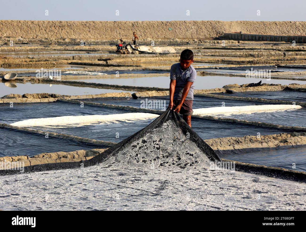 Coxsbazar, Kutubdia Island, Bangladesh. 9th Nov, 2023. Farmers are busy ...