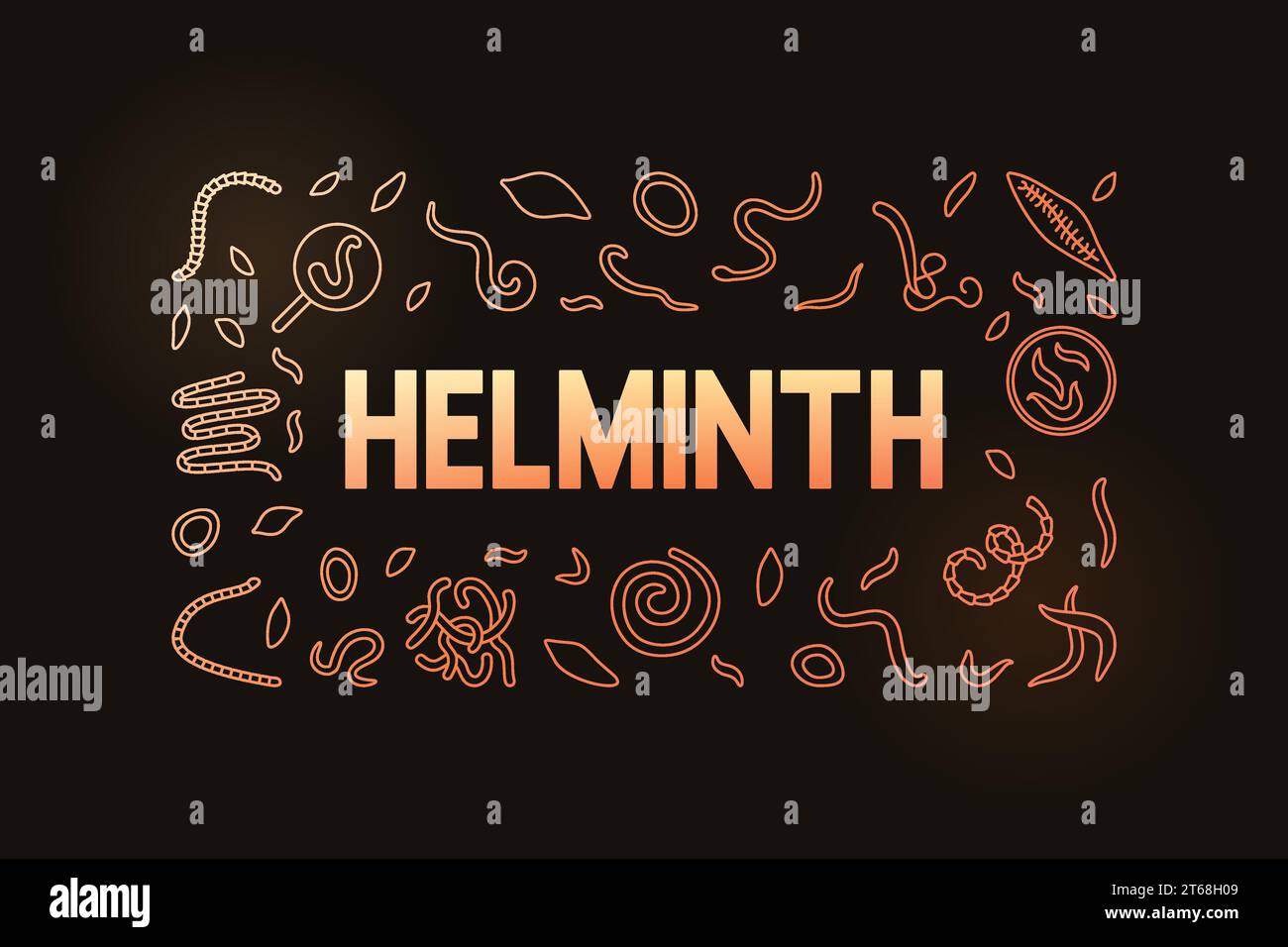 Helminth vector concept horizontal colored banner. Illustration with ...