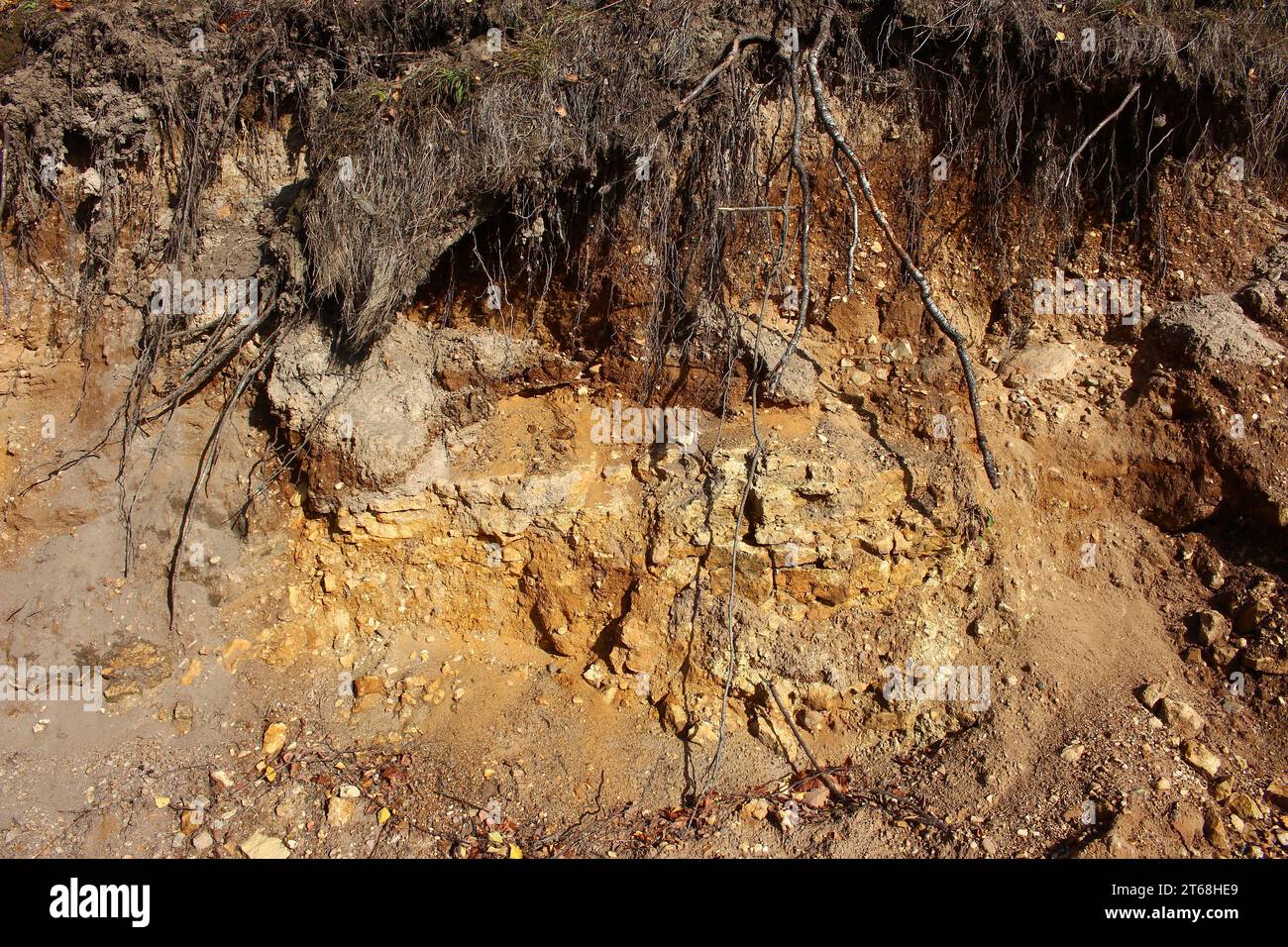 Outcrop of rocks beneath the soil layer, limestone and marl of the ...