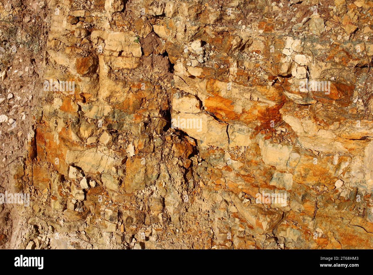 Layers of yellowish fissured marl of the Lower Carboniferous period ...