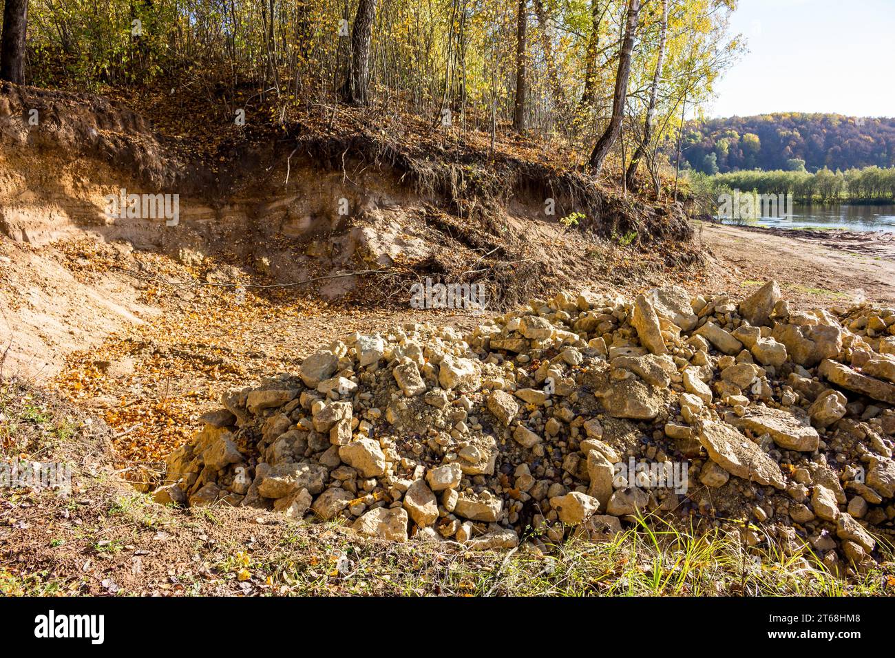 A layer of earth excavated by an excavator at the edge of a forested ...