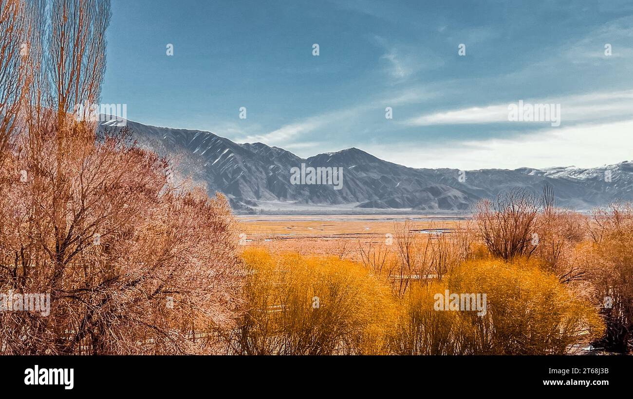 A scenic landscape featuring a lush cluster of shrubbery and trees ...