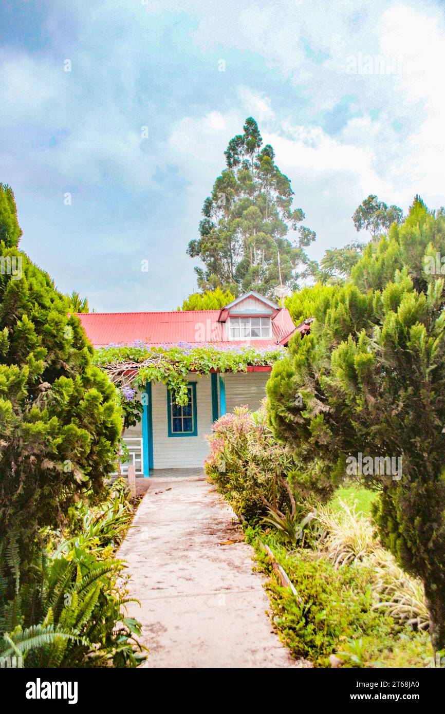 A quaint house in a lush wooded area surrounded by greenery and shrubs ...