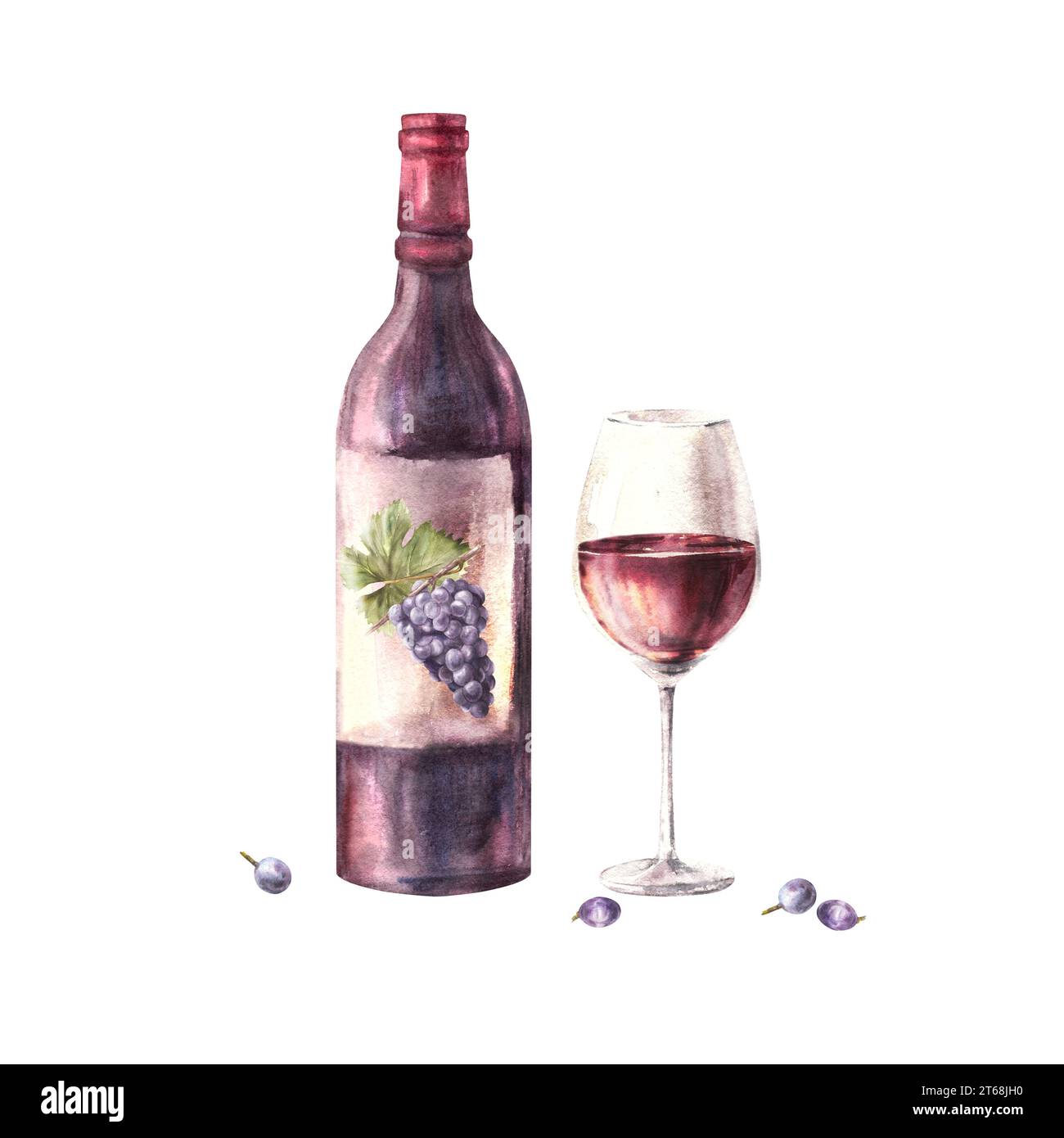 A bottle and glass of red wine with grape berries. Watercolour hand ...