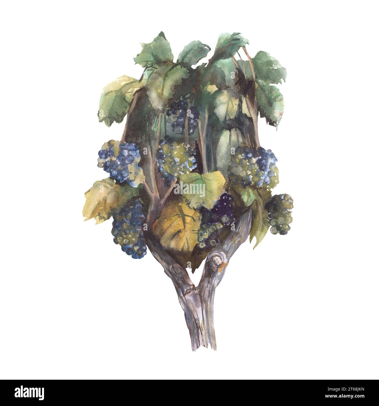 Dark field tree Cut Out Stock Images & Pictures - Alamy