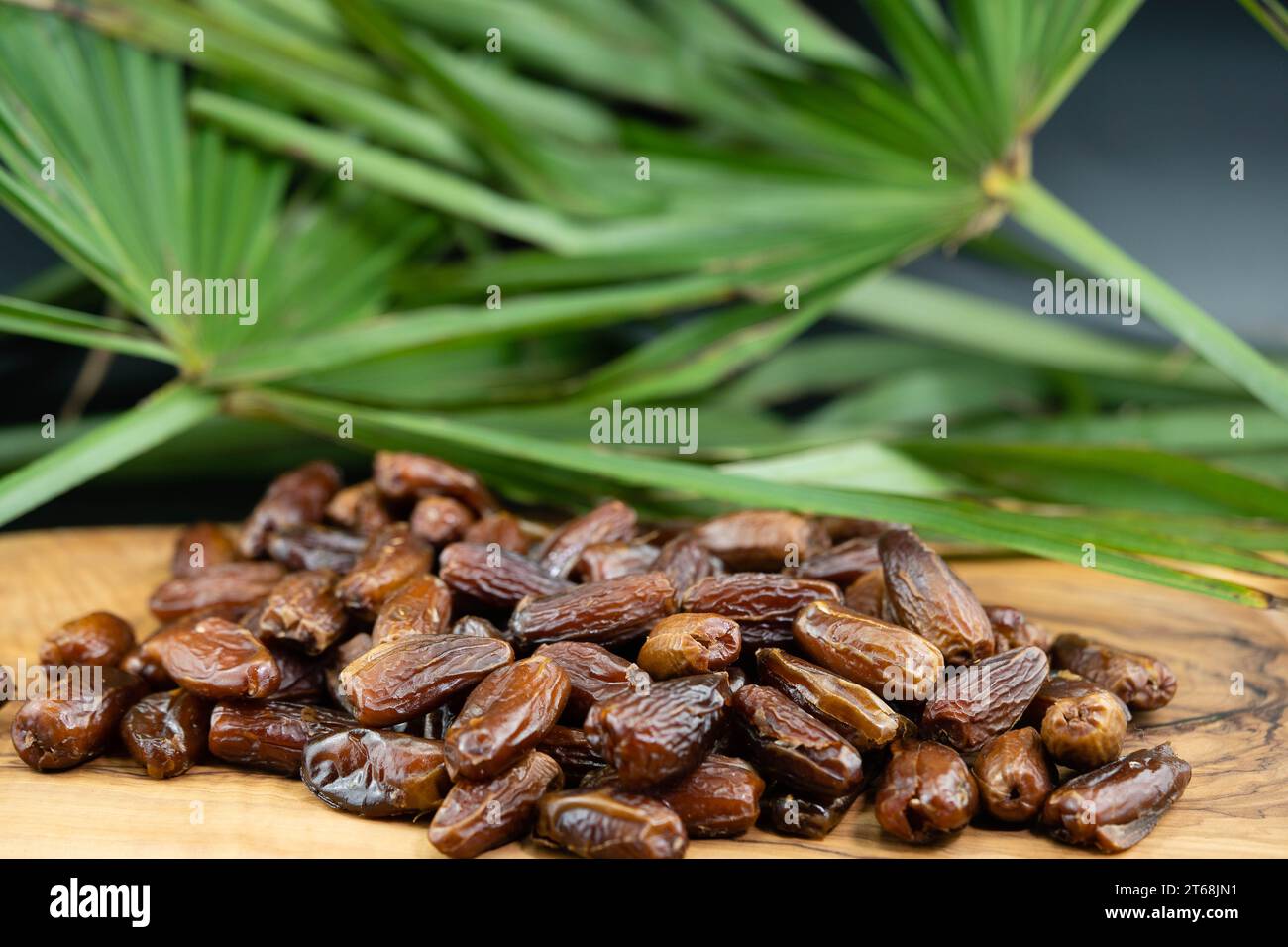 Fruits of the date palm Phoenix dactylifera and bacon Stock Photo - Alamy