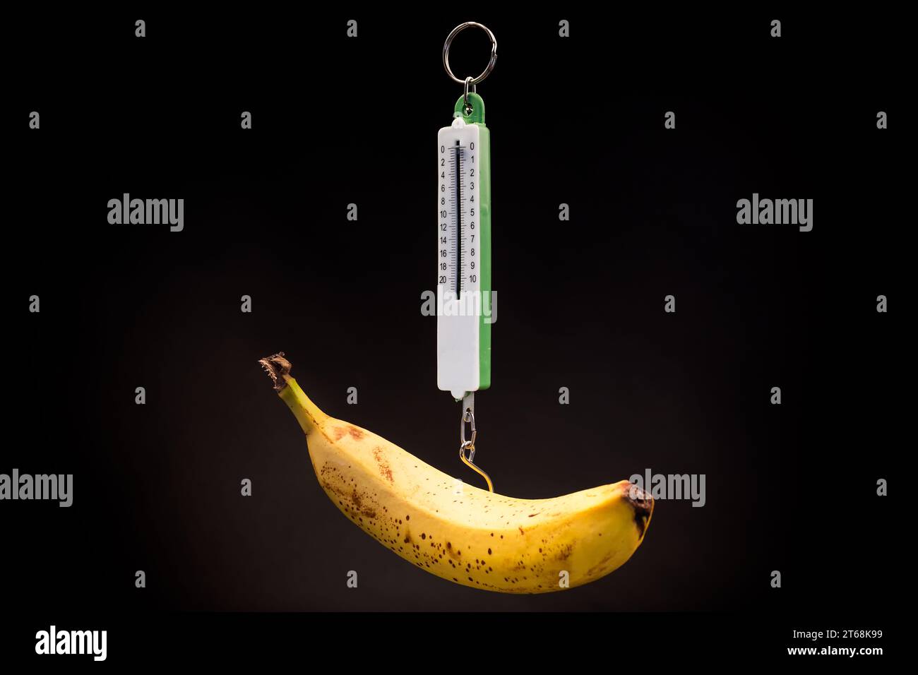 ripe yellow banana hanging on old style scales, isolated on black ...