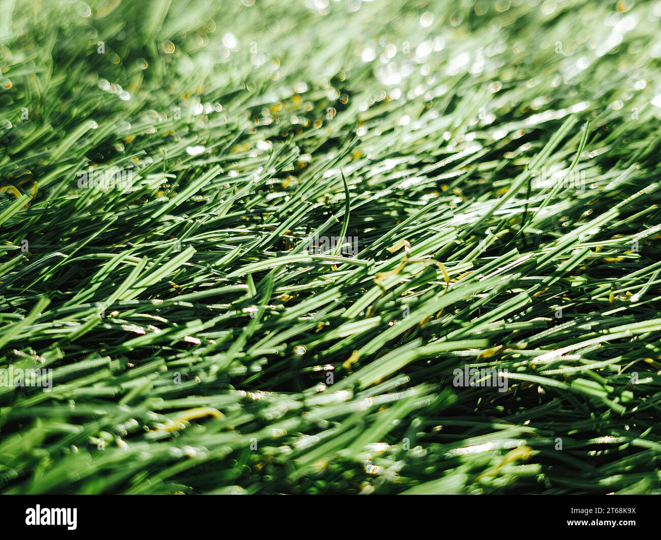 Plastic grass background hi-res stock photography and images - Alamy