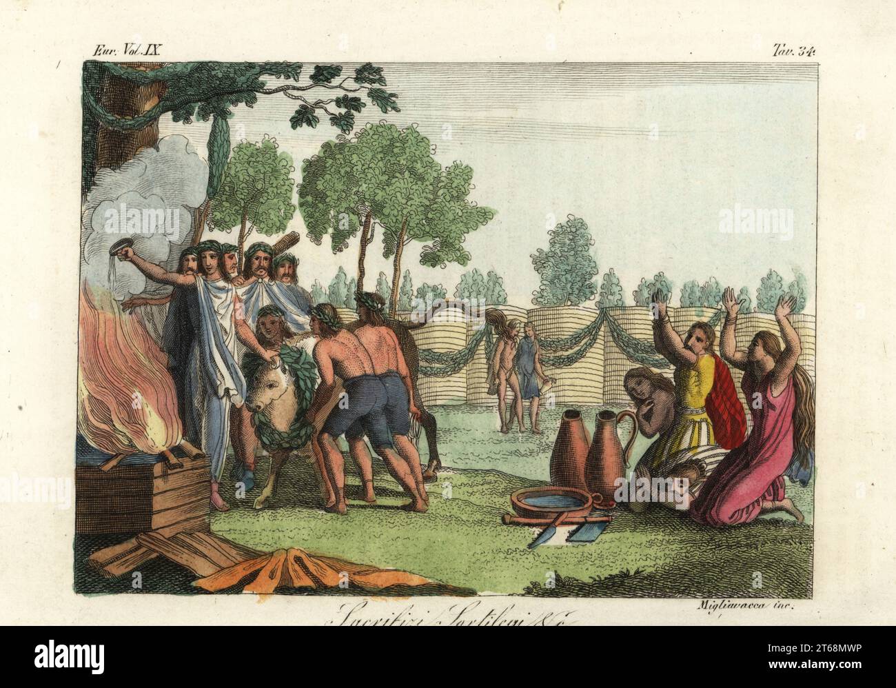 Religious rites of the ancient Germanic peoples. A priest pours a ...