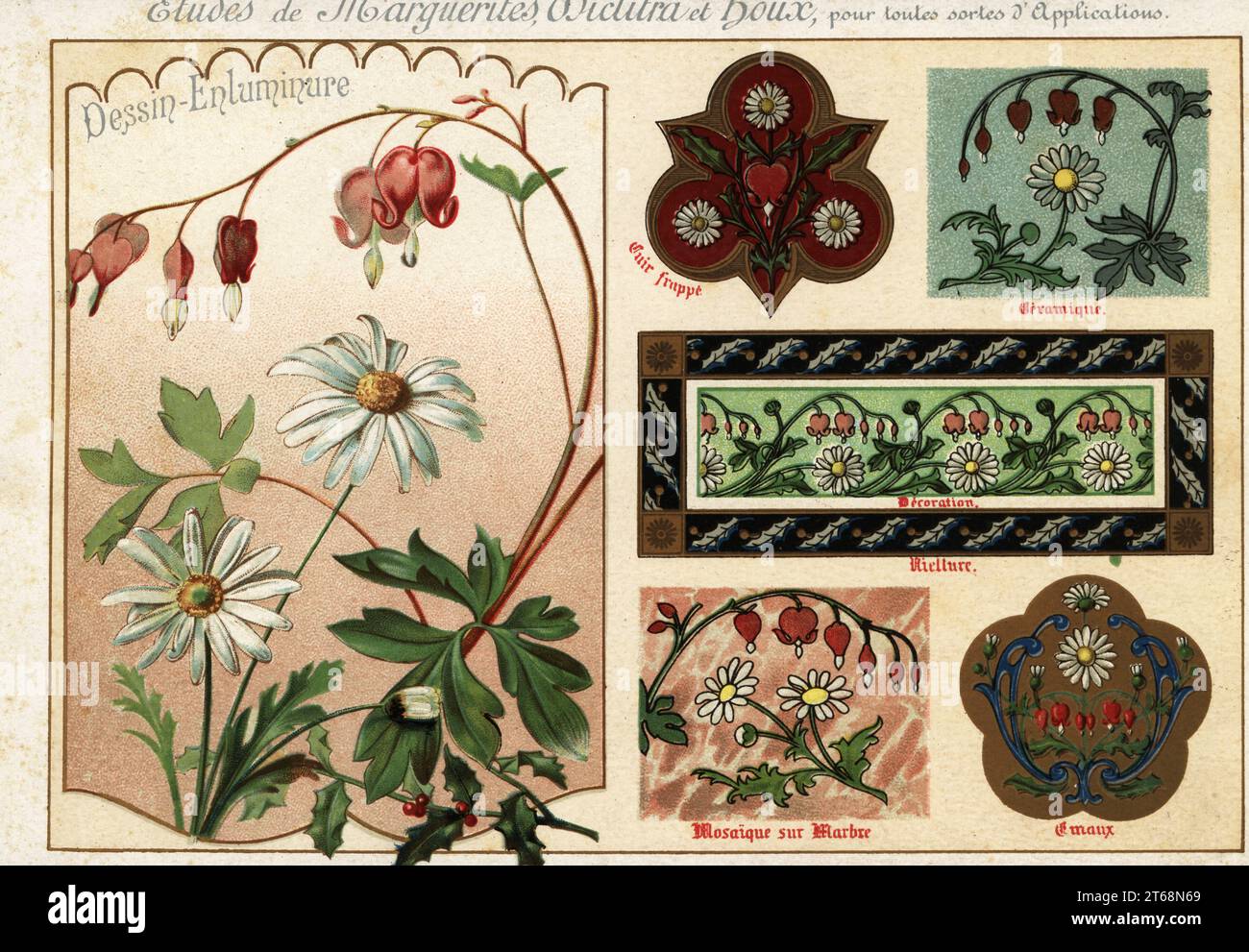 Images of oxeye daisies, bleeding hearts and holly from manuscripts and ...