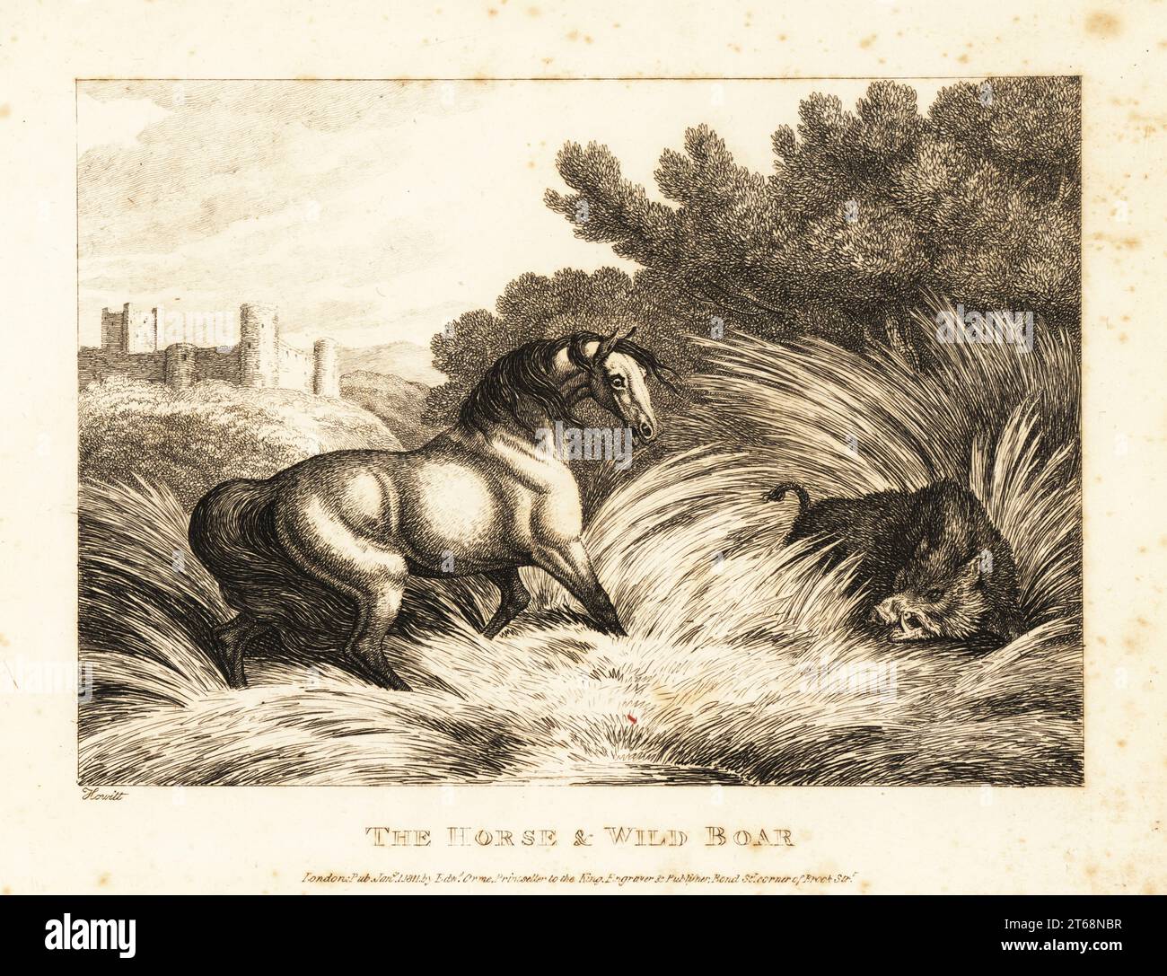 A horse and wild boar face off in a pasture before a castle, in a ...