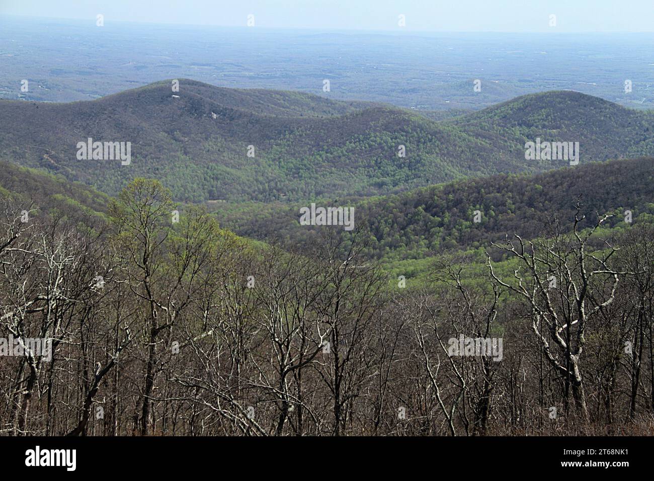 Landscape in Virginia's Blue Ridge Parkway, USA, in springtime Stock ...