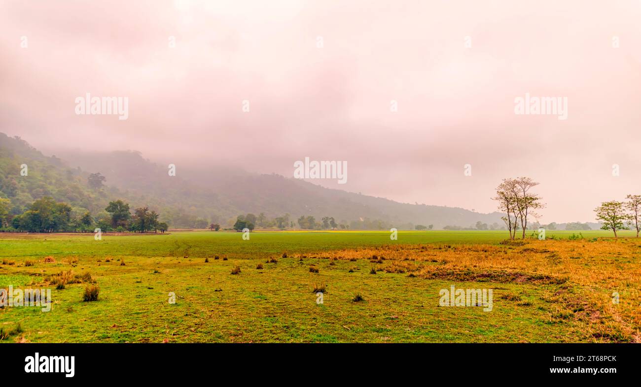 Monsoon india farm hi-res stock photography and images - Alamy