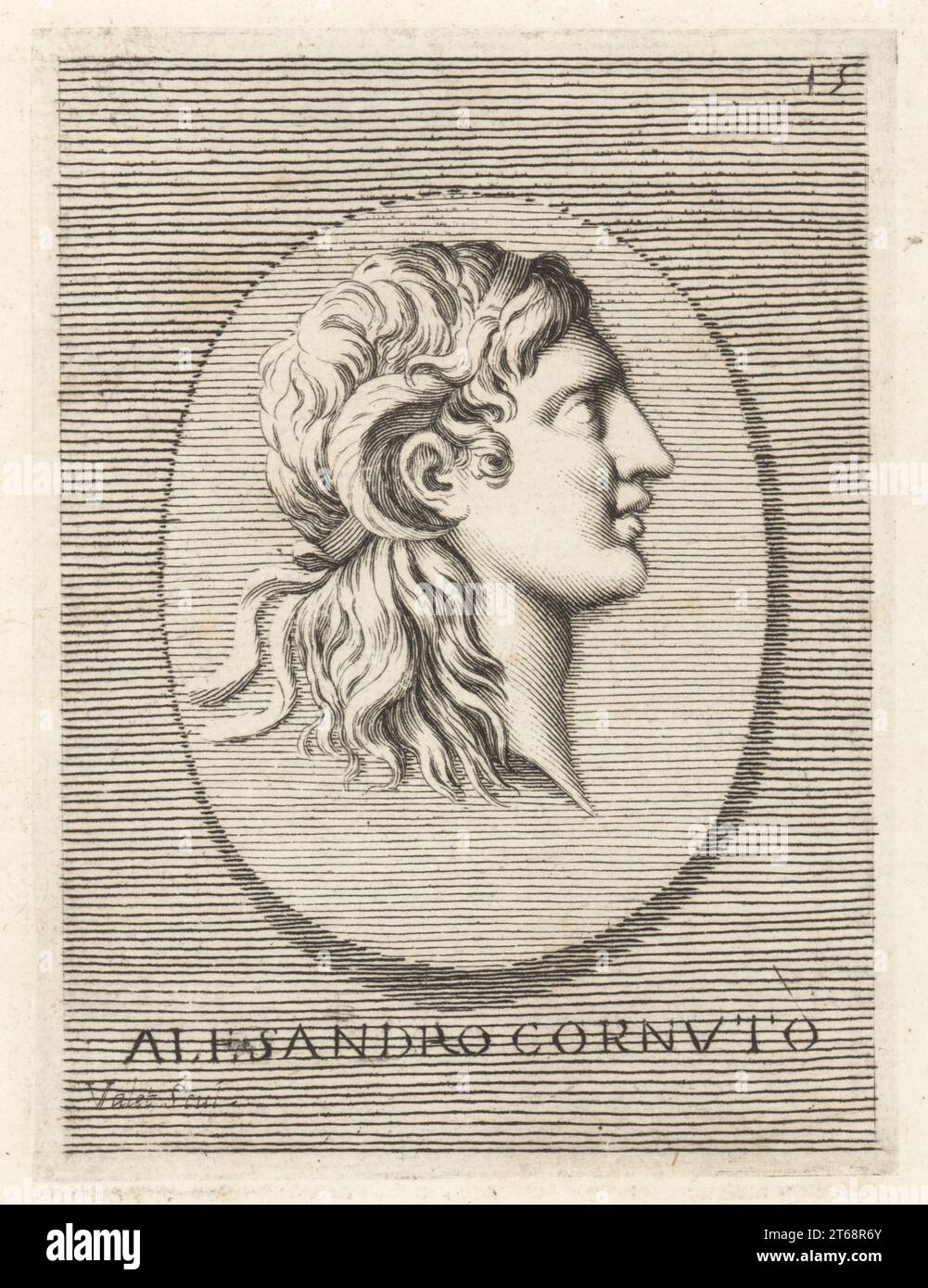 Profile portrait of Alexander the Great with horns. Alexander III of ...