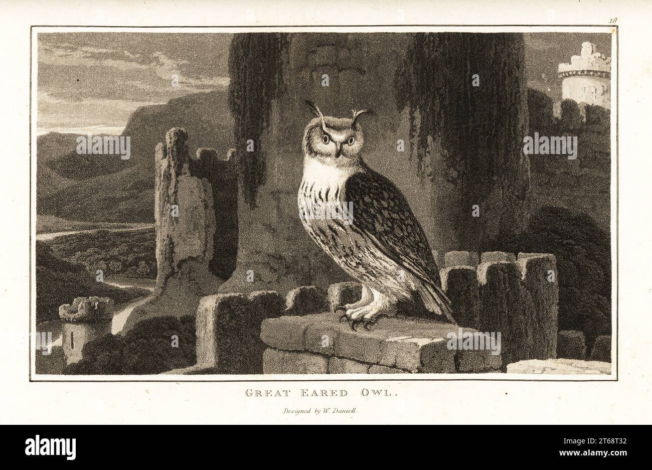 Eurasian eagle-owl, Bubo bubo, perched on top of the ruins of a Gothic ...