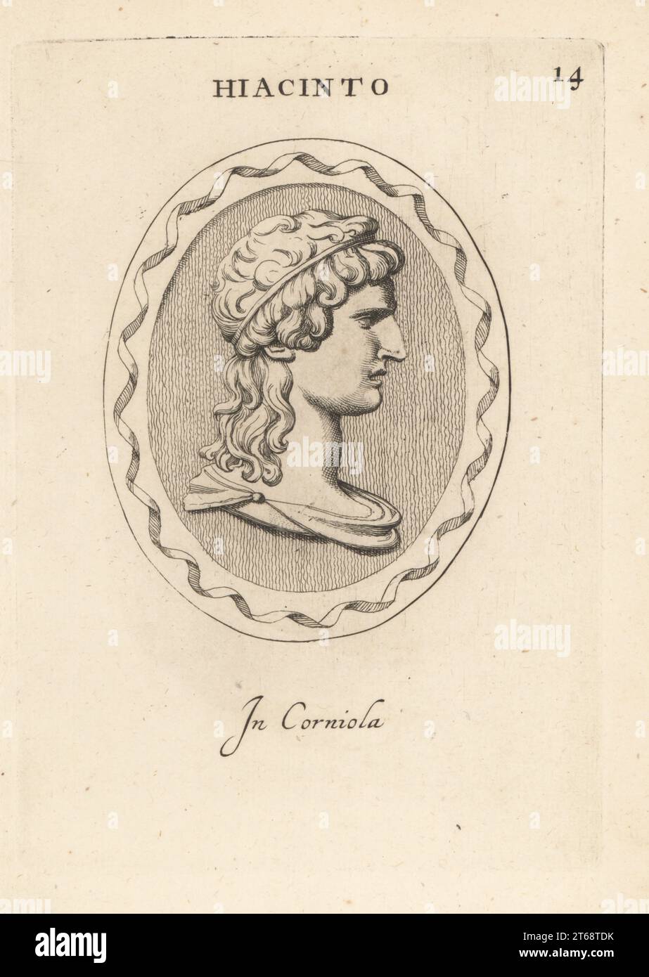 Bust of Hyacinthus, divine hero and a lover of Apollo from Greek ...