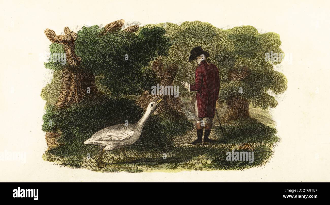 Gentlemen 18th century hi-res stock photography and images - Alamy