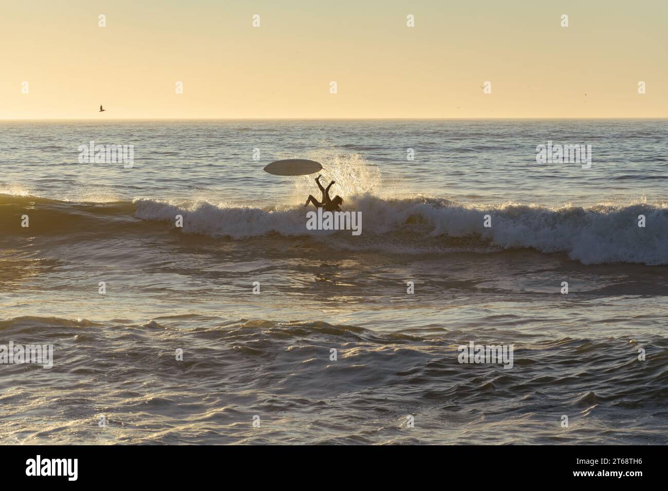 A male surfer rides a wave toward shore, only to be thrown off his ...