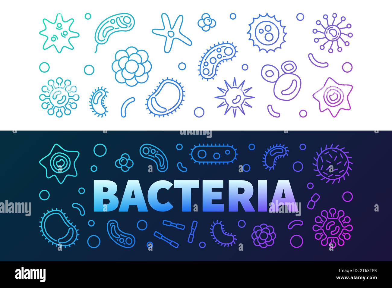 Bacteria horizontal colorful banners set - vector concept outline ...