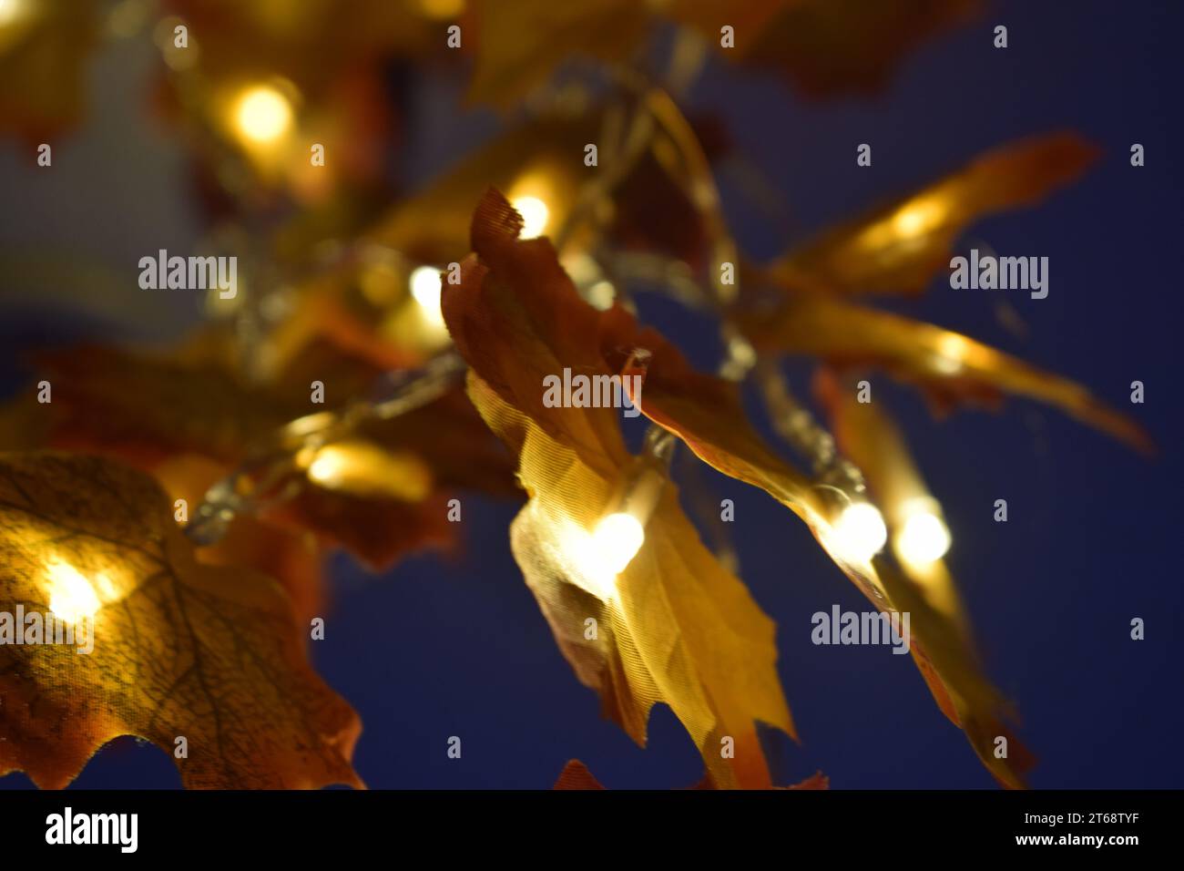 A collection of images of fake orange leaves with LED lights behind ...