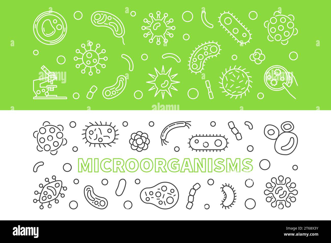Microorganisms banners set. Vector microbiology outline illustration ...