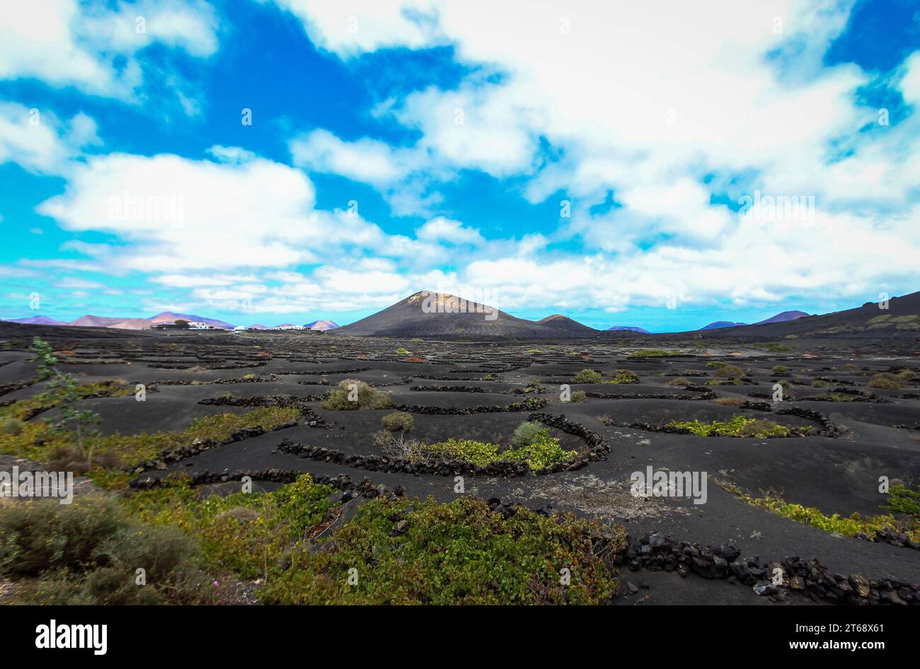 An aerial view of a farm in Lanzarote with plants growing in fields of ...