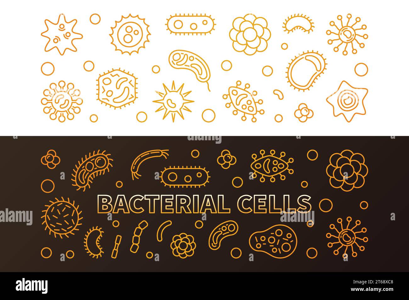 Bacterial cells 2 bright golden banners - vector concept colored ...