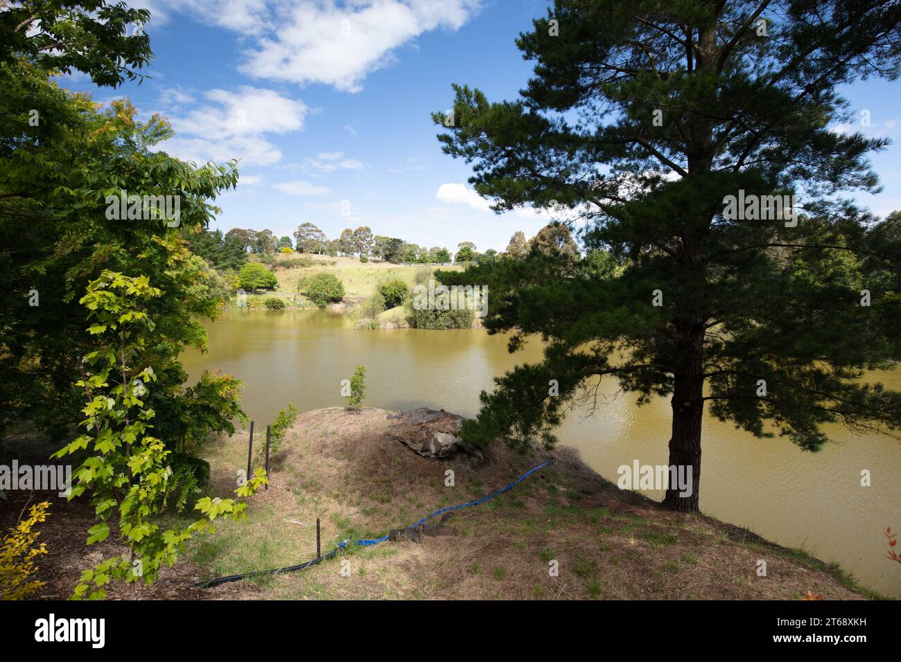 Wilson Botanic Park Berwick in a late summer's afternoon in Berwick ...