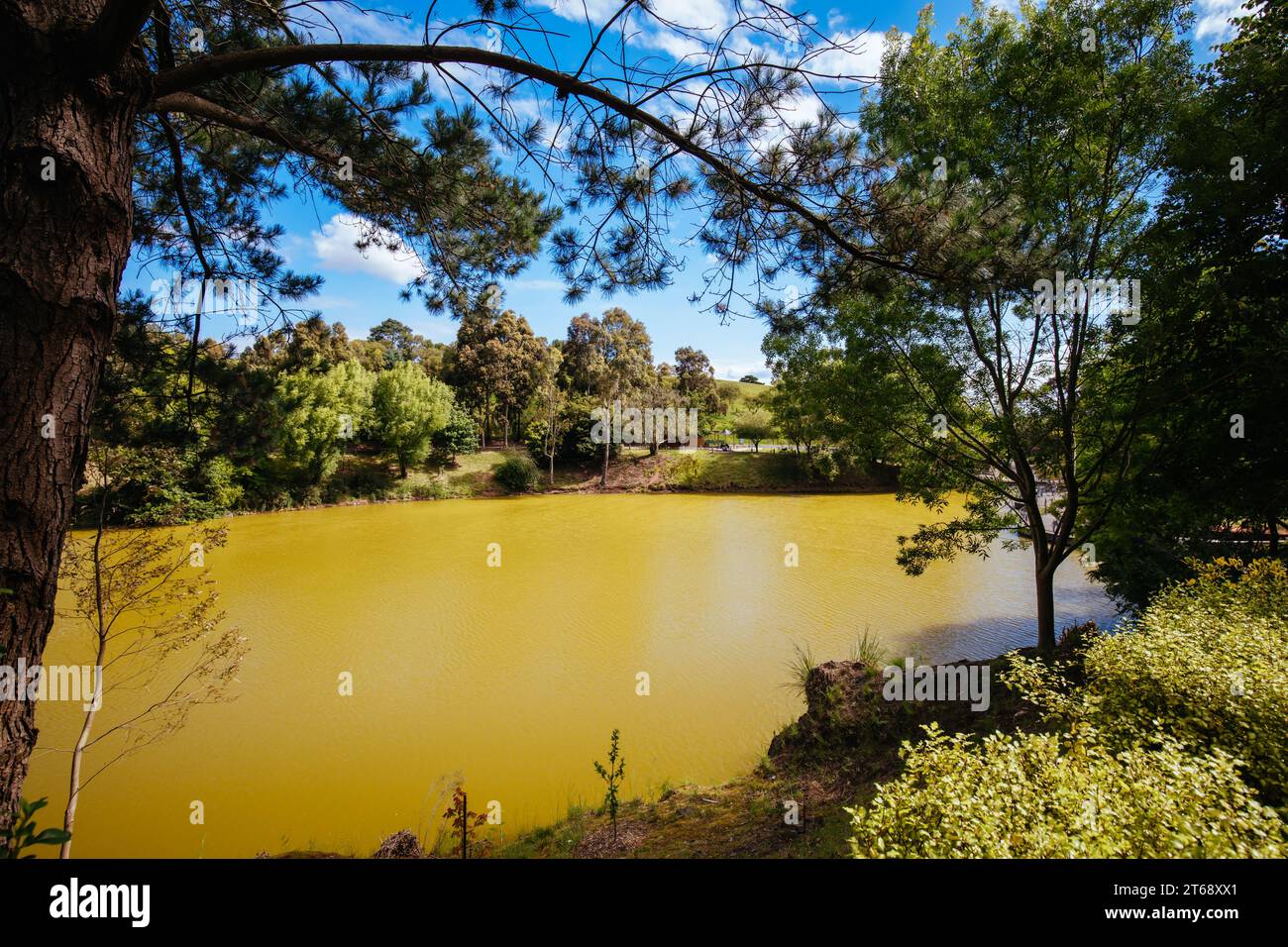 Wilson Botanic Park Berwick in a late summer's afternoon in Berwick ...