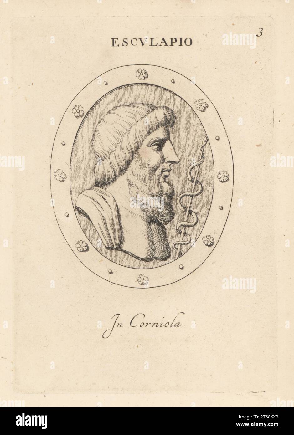 Serpent entwined rod hi-res stock photography and images - Alamy