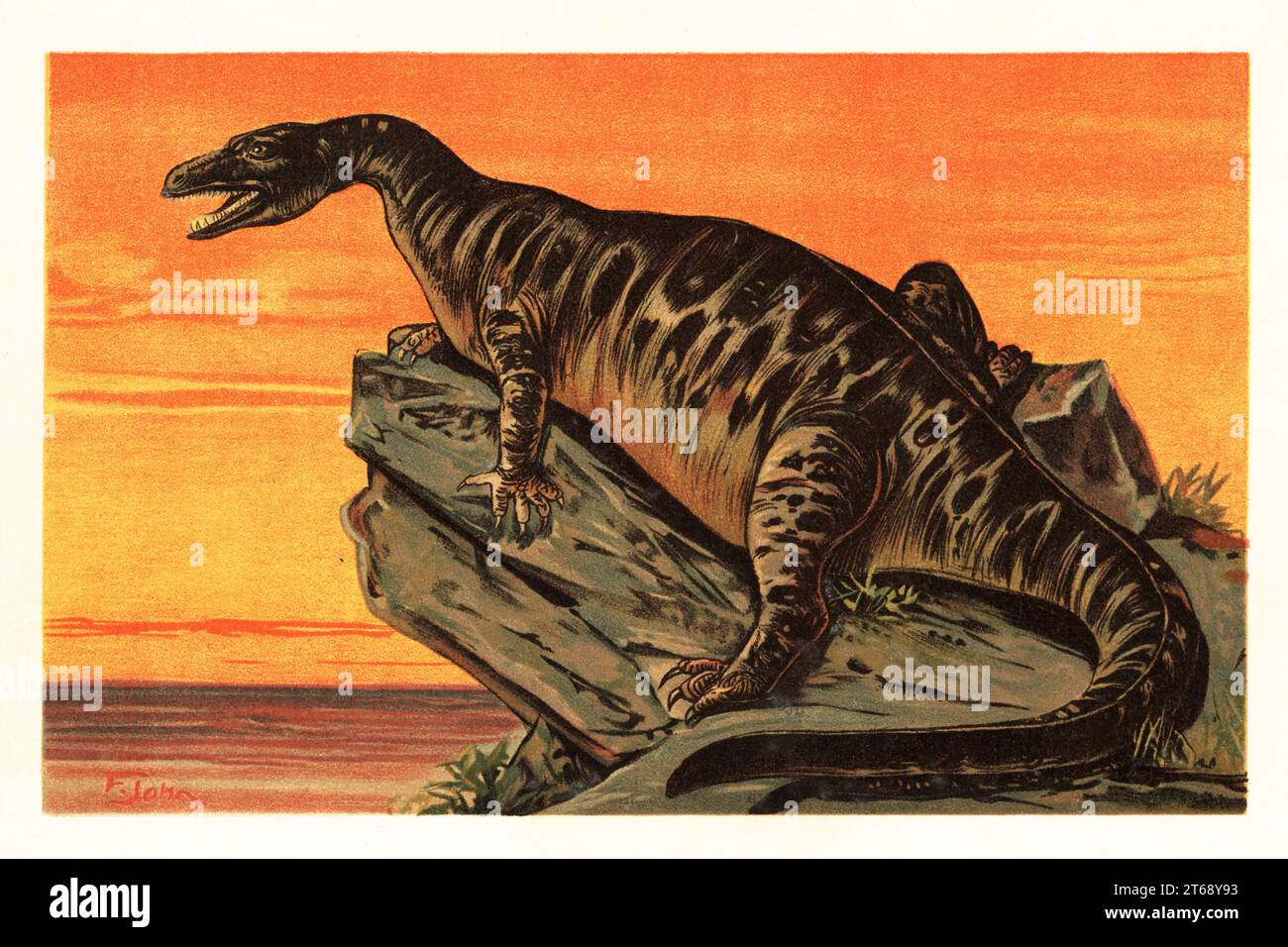 Iguanodon bernissartensis, extinct species of Iguanodontian dinosaur of ...