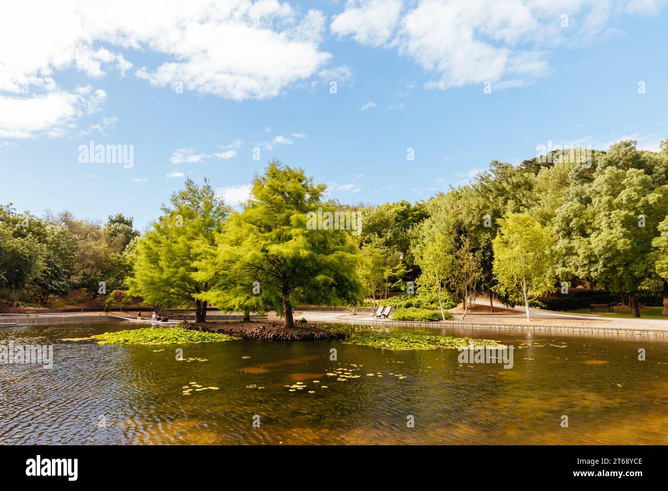 Wilson Botanic Park Berwick in a late summer's afternoon in Berwick ...