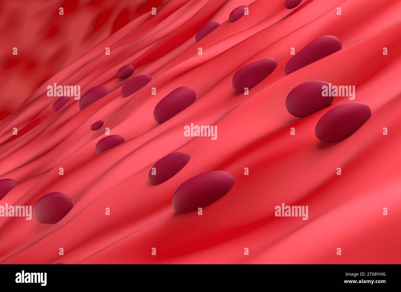 Cardiac Muscle Tissue - 3d illustration closeup view Stock Photo - Alamy