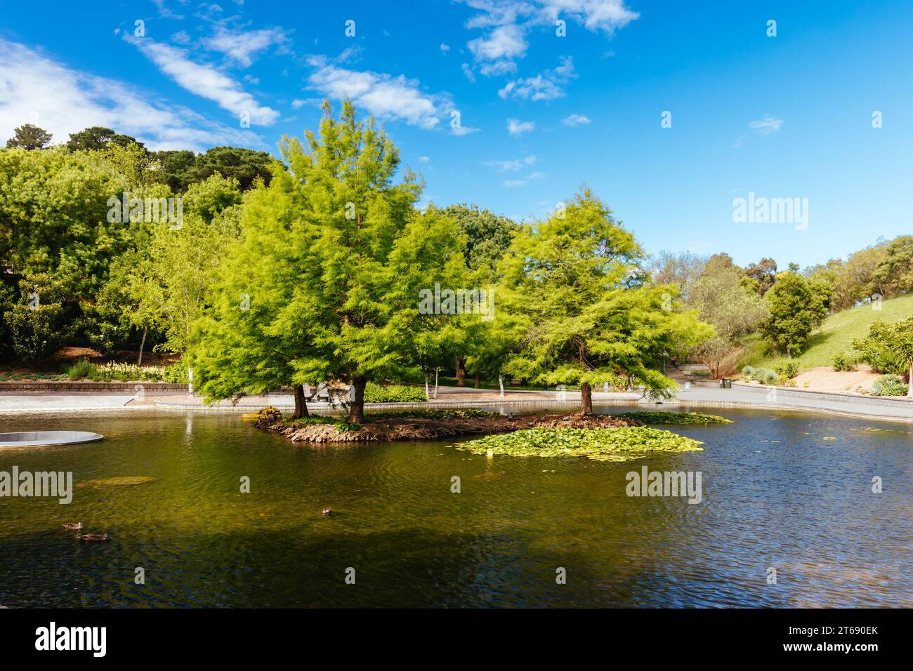 Wilson Botanic Park Berwick in a late summer's afternoon in Berwick ...
