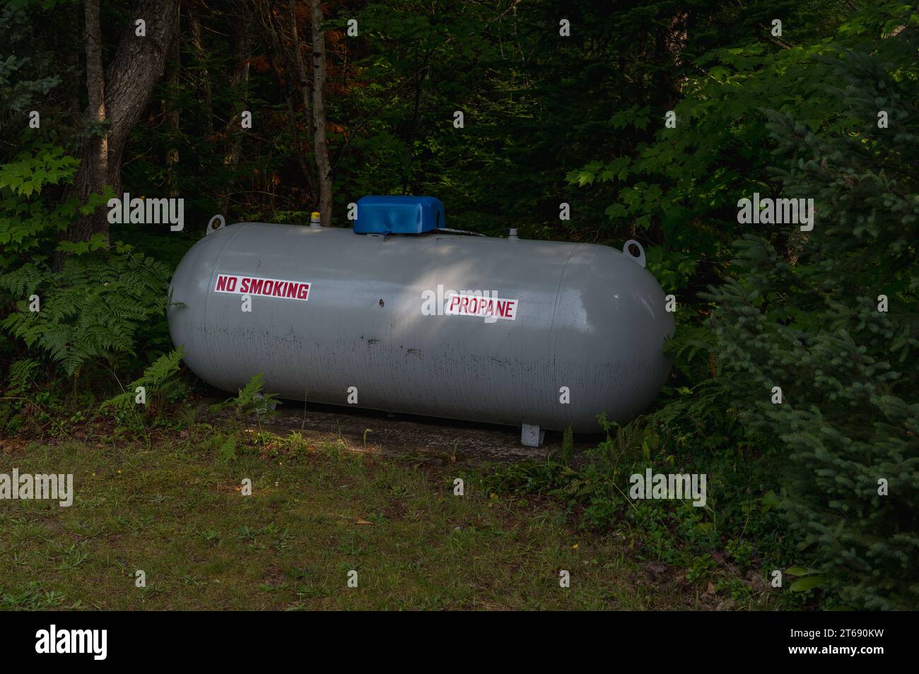Propane Tank Storage located in outside in the woods Stock Photo - Alamy