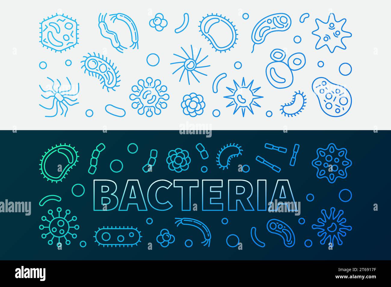 Set of 2 Bacteria microbiology creative bright banners - vector ...