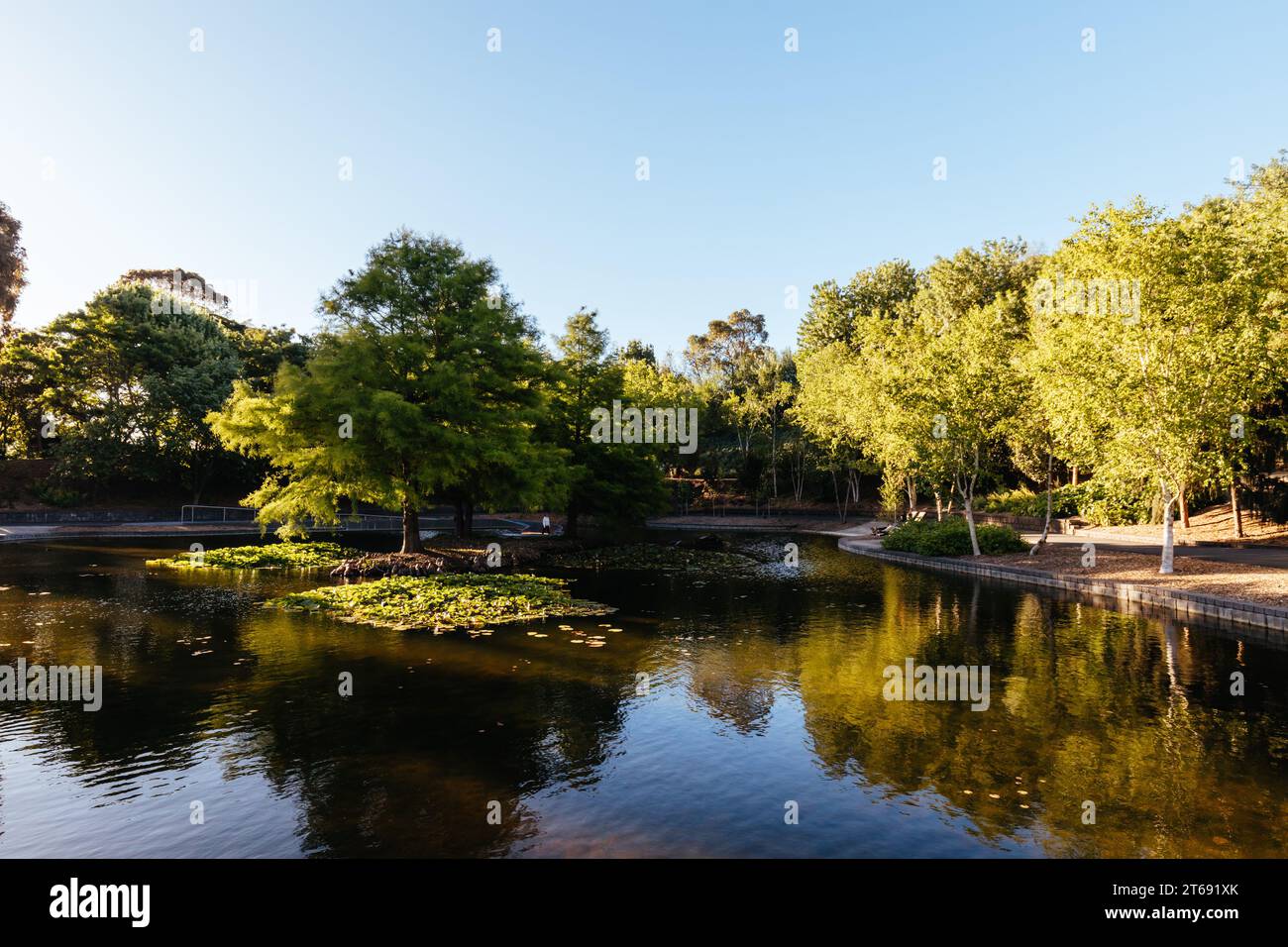 Wilson Botanic Park Berwick in a late summer's afternoon in Berwick ...