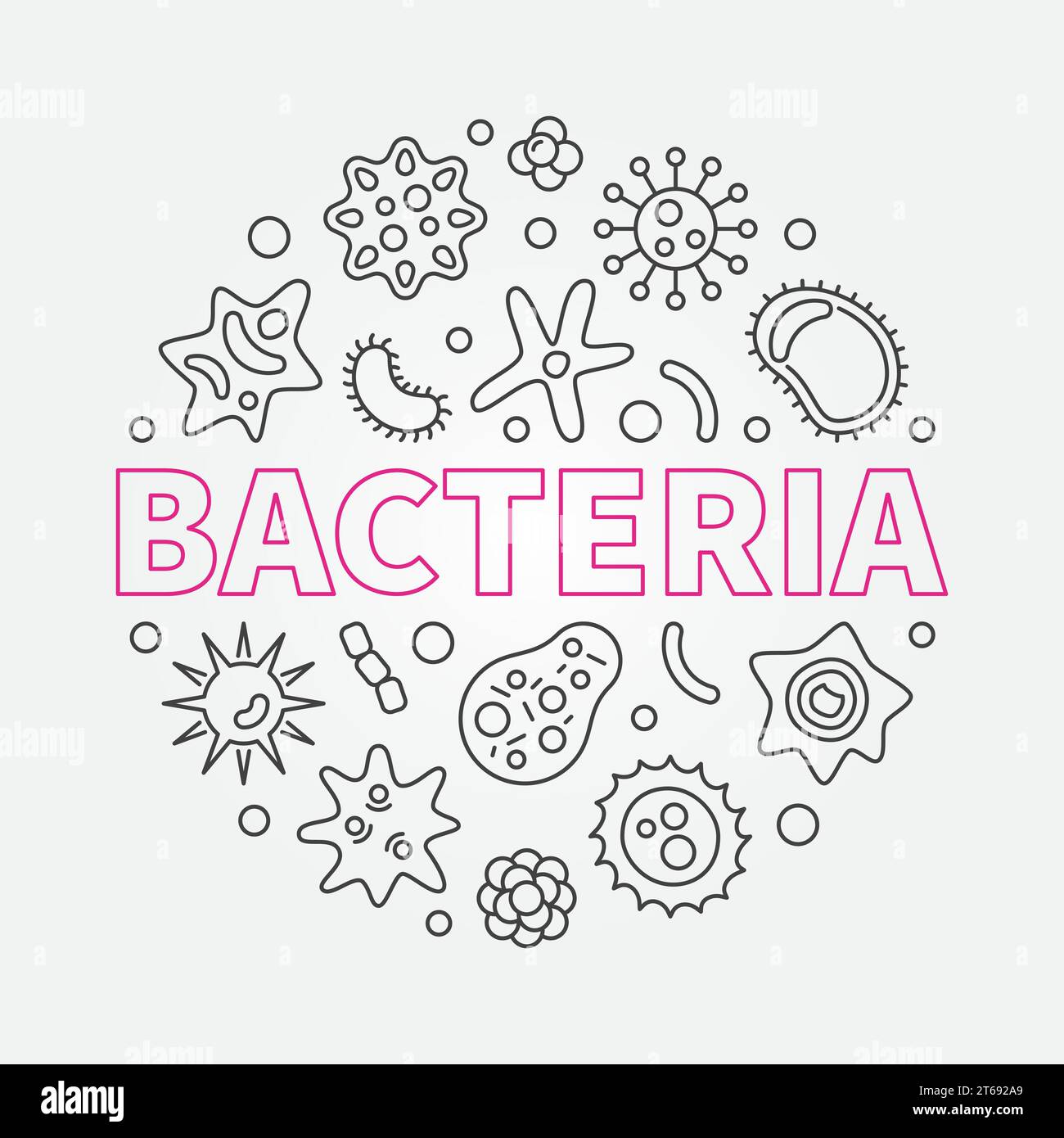 Bacteria vector round virology and microbiology illustration in thin ...