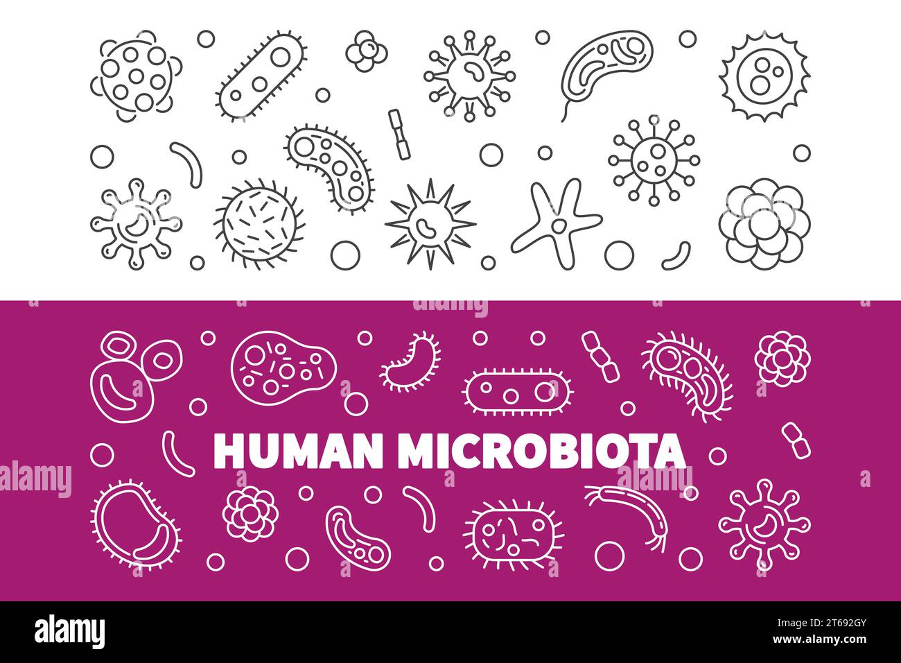 Set of 2 Human microbiota horizontal banners. Vector concept ...