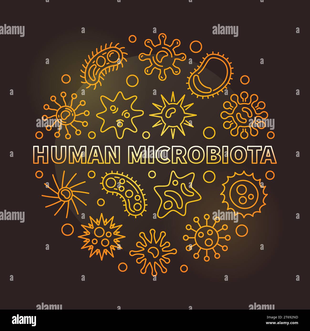 Human microbiota round vector golden illustration in linear style on ...