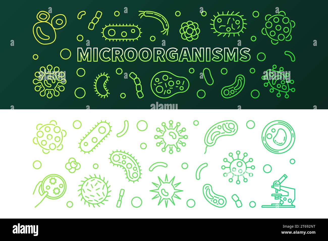 Microorganisms green modern outline banners set. Vector microbiology ...