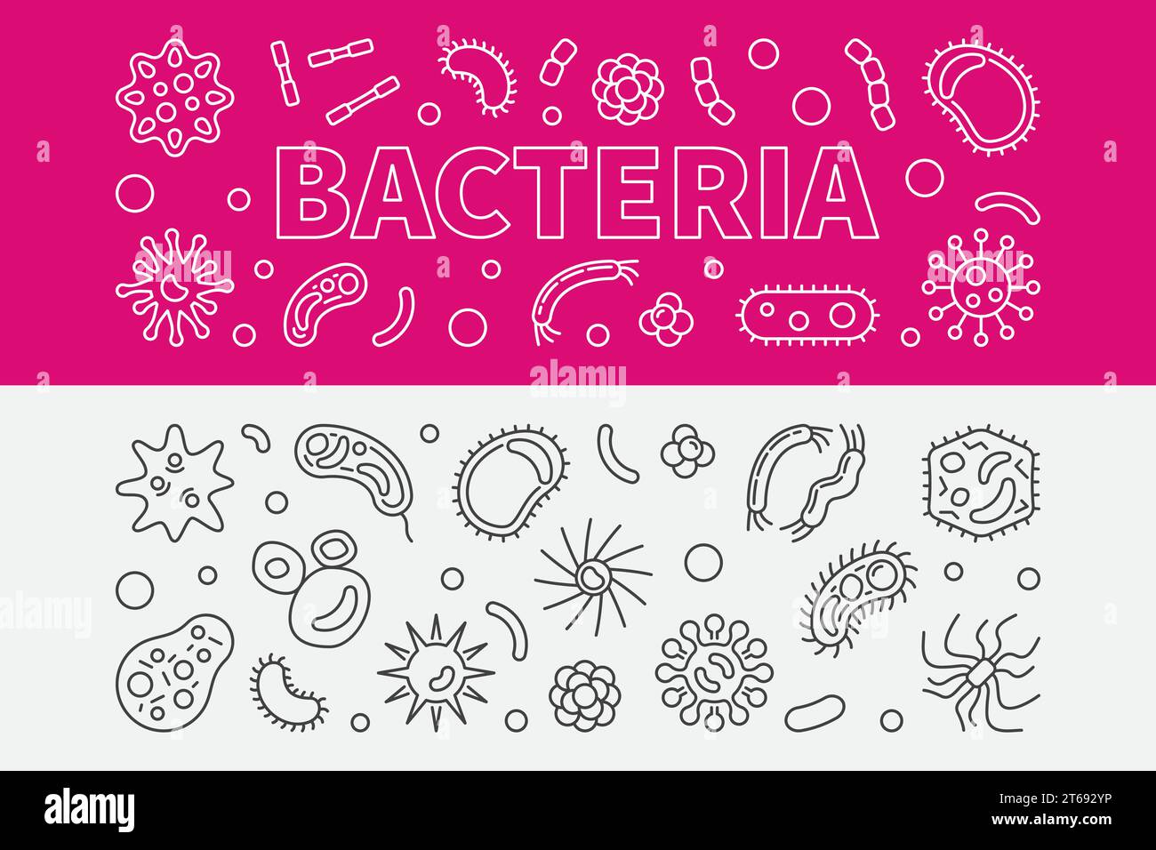 Set of 2 Bacteria microbiology outline banners. Vector illustration in ...
