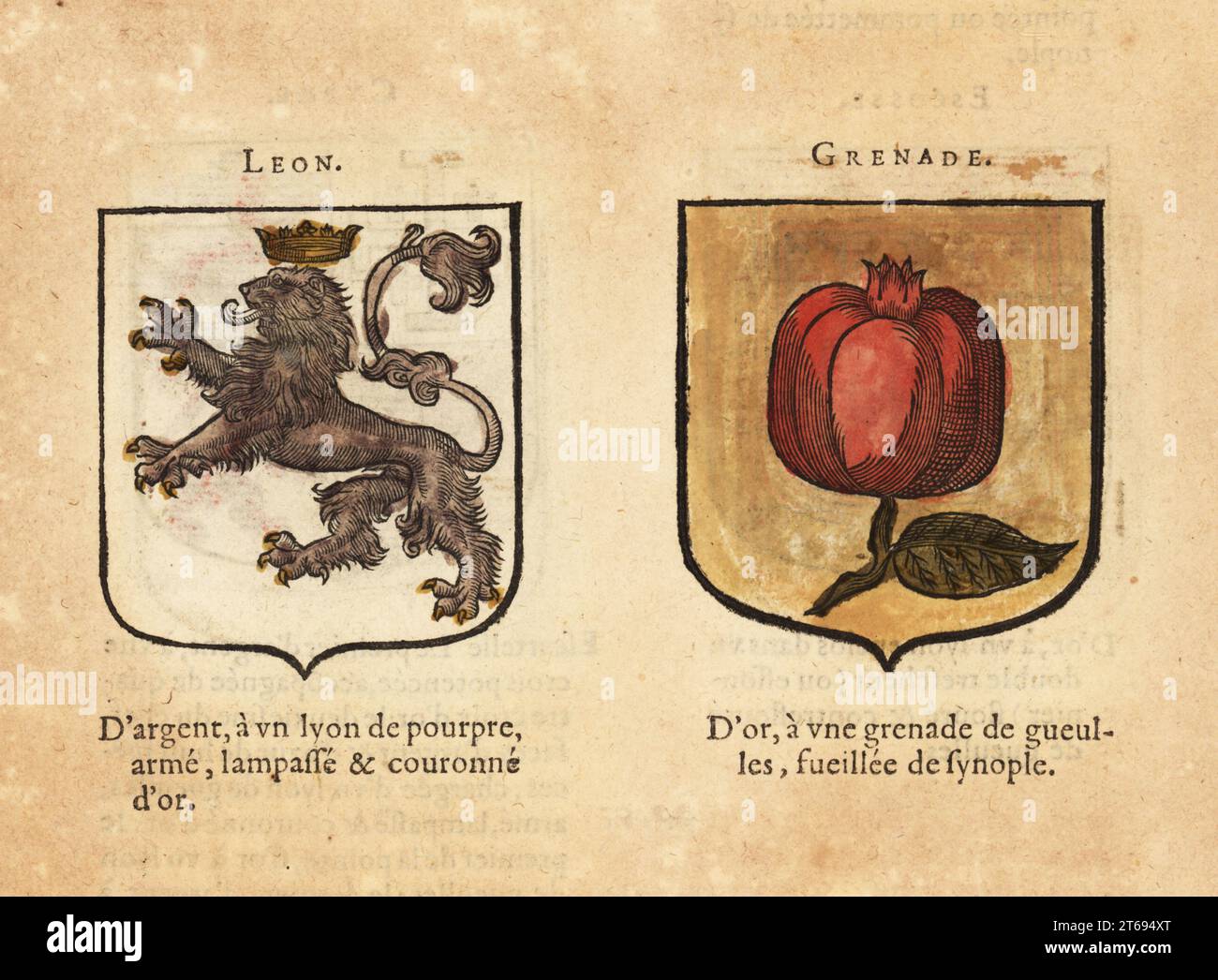 Coats of arms of the Kingdoms of Lyons, France, with purple lion on ...