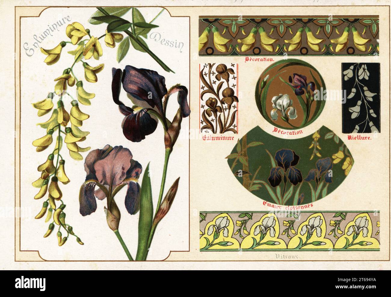 Manuscript illumination with floral border hi-res stock photography and ...