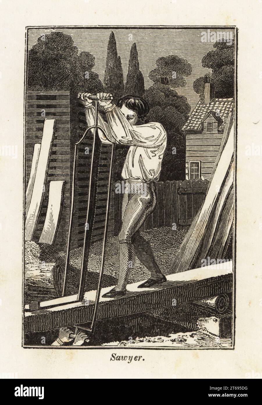 Sawyers cutting timber with a large two-man saw in a lumber yard ...