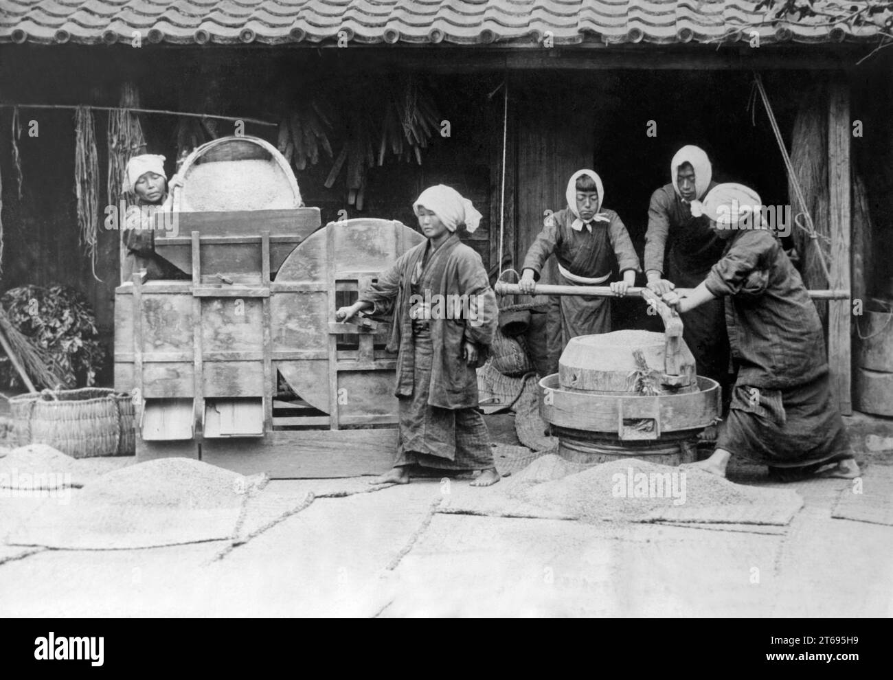 After the harvest, women clean the grains. [automated translation ...